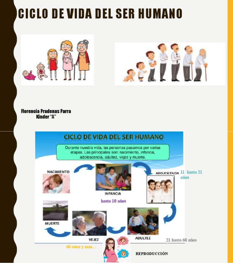 Ciclo de Vida Del Ser Humano | PDF
