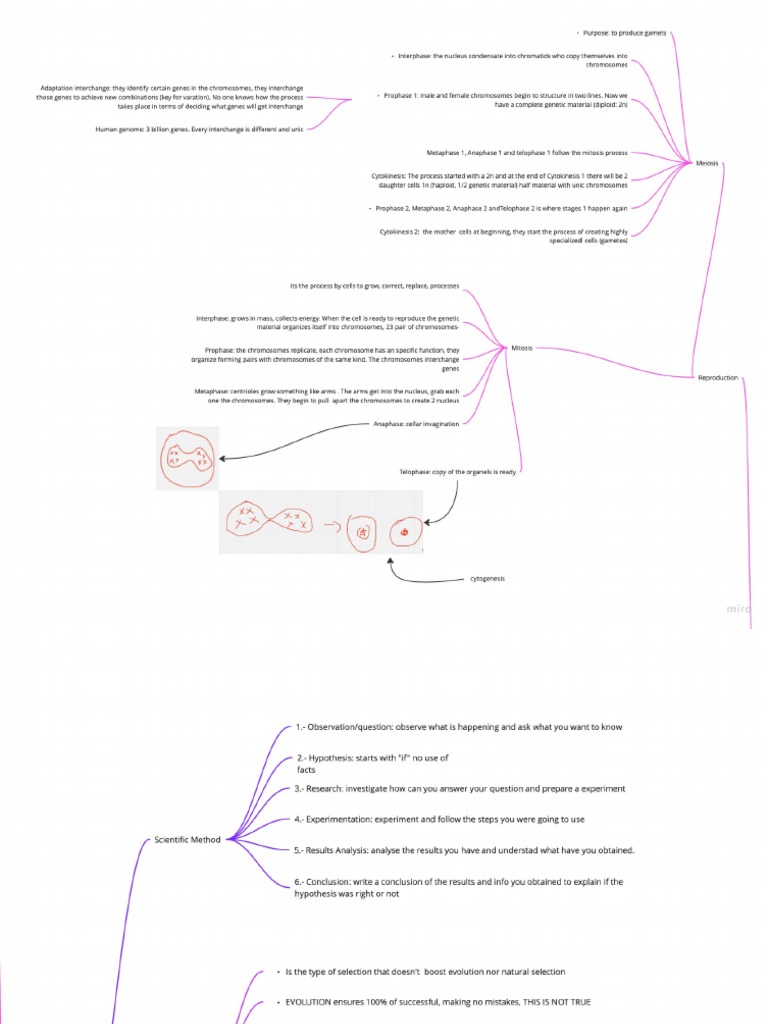 Mind_Map-2 | PDF