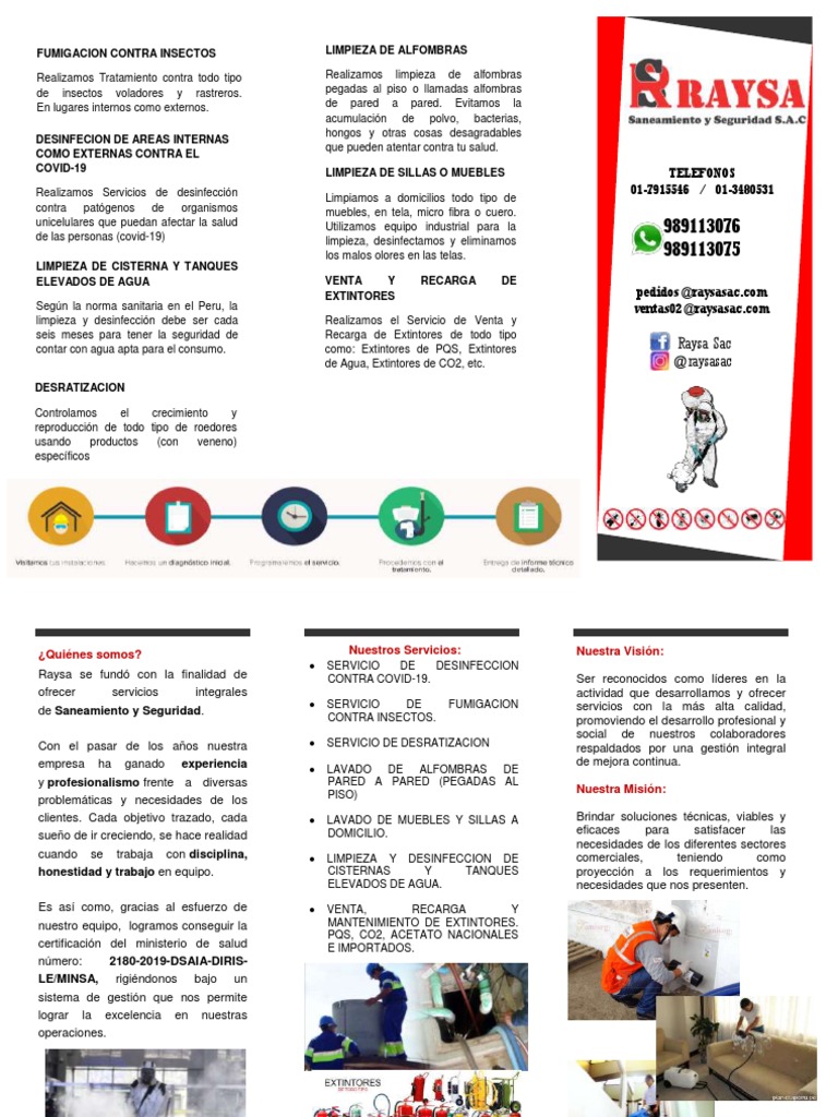 TRIPTICO INFORMATIVO RAYSA | PDF