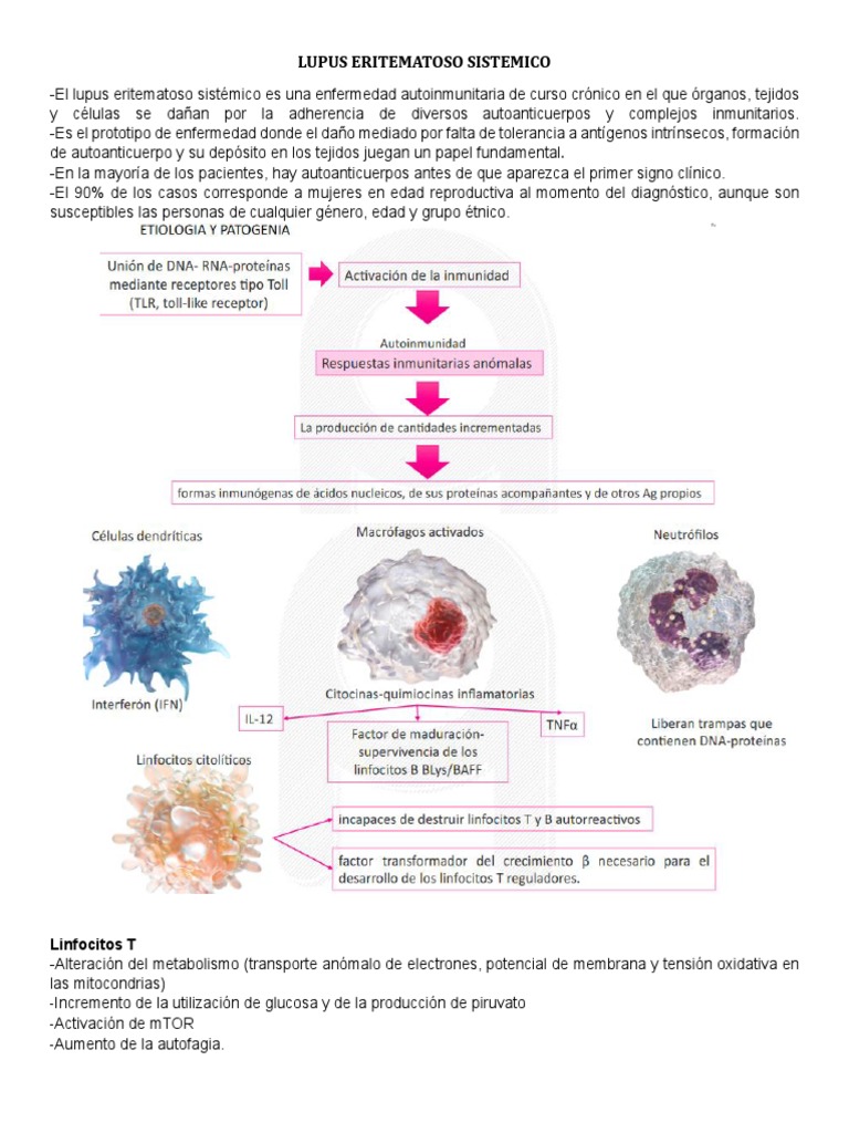 LUPUS | PDF | Sistema inmune | Biología