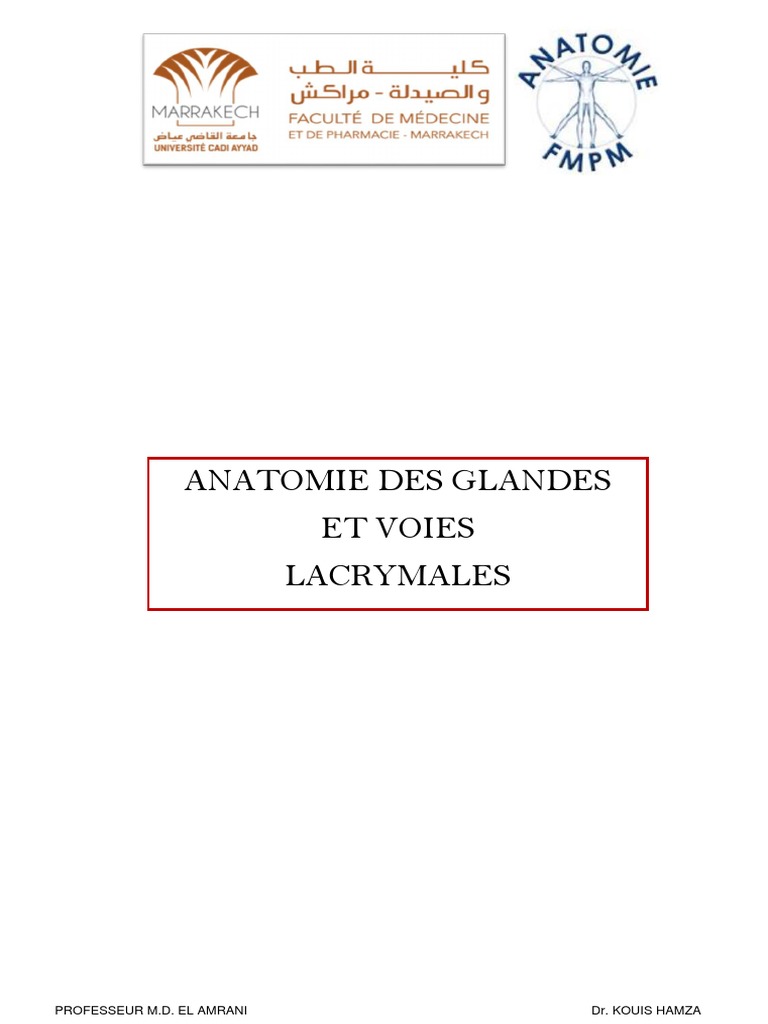 Anatomie Des Glandes Et Voies Lacrymales | PDF | Organe | Anatomie humaine