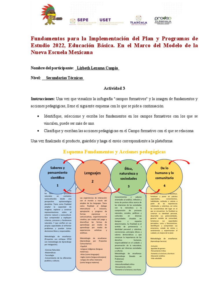 FORMATO-Esquema Fundamentos y Acciones Pedagógicas | Descargar gratis ...
