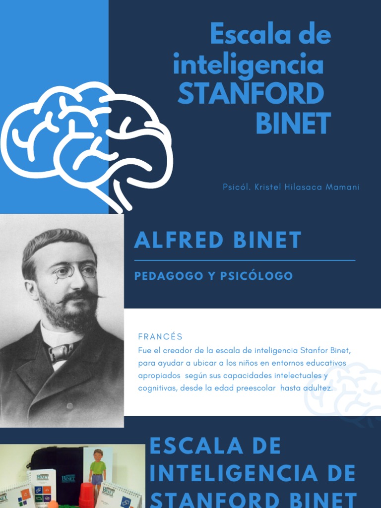 STANFORD BINET | PDF