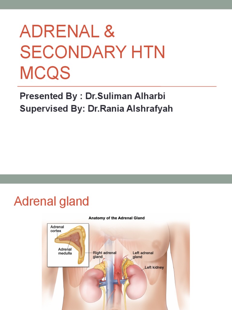 Adrenal & Secondary HTN MCQs Final | PDF | Adrenal Gland | Causes Of Death