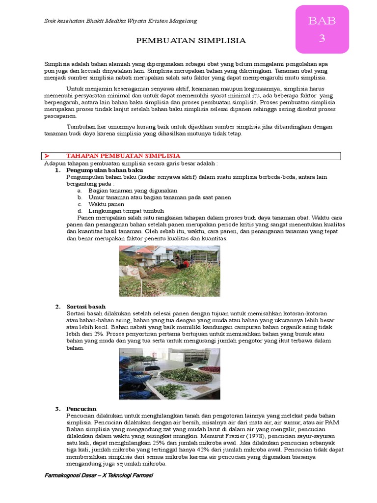 X Bab 3 Pembuatan Simplisia | PDF