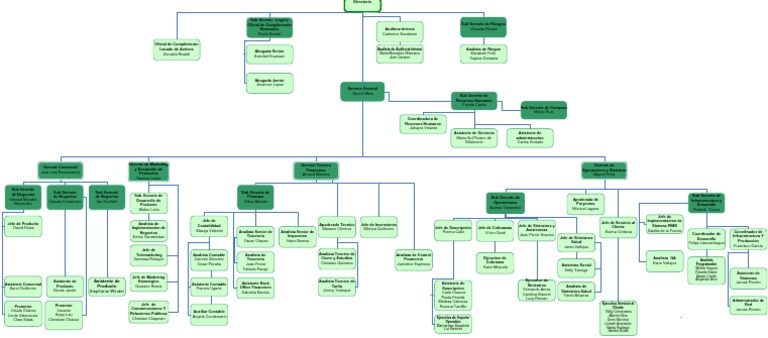 04 2013 Organigrama Cardif Seguros | PDF | Dinero | Procesos de negocio