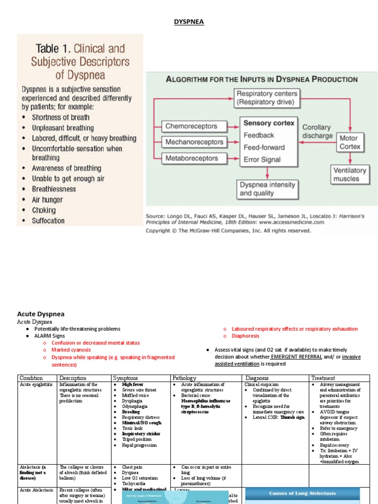 Dyspnea Notes | PDF