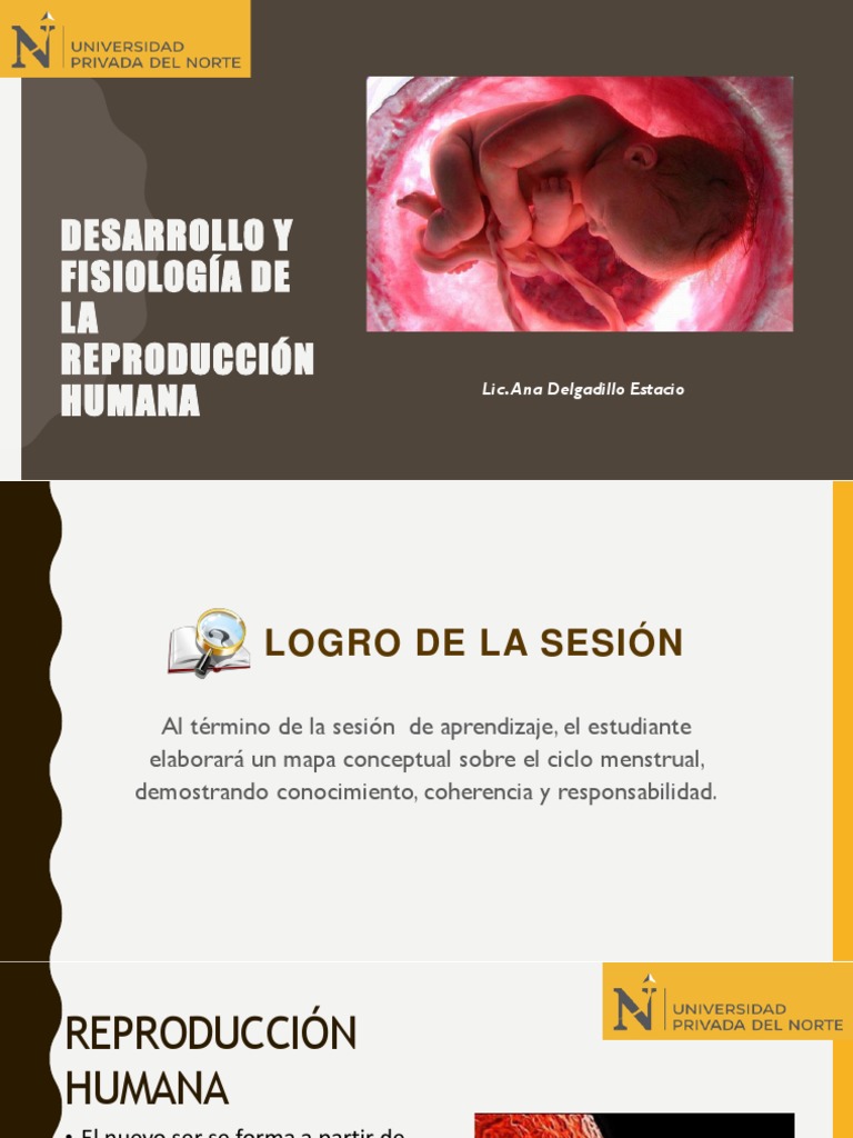 DESARROLLO Y FISIOLOGÍA DE LA REPRODUCCIÓN HUMANA-Práctica Semana 3 | PDF | Ciclo menstrual ...