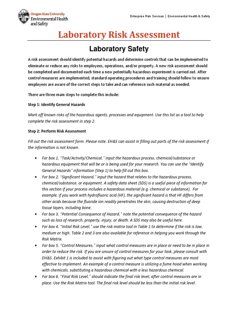 Lab Risk Assessment | PDF | Hazards | Risk