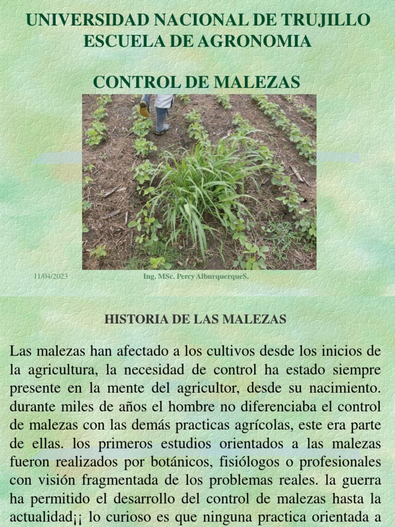 Control de Malezas 1º Semana | PDF | Hierba | Agricultura