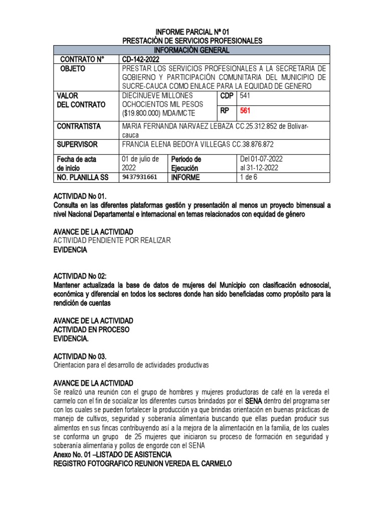 Informe Parcial Julio | PDF | Negocios | Ciencias sociales