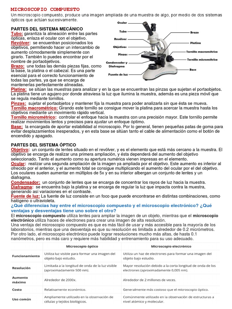 Microscopio Compuesto | PDF | Lente de la cámara | Microscopio