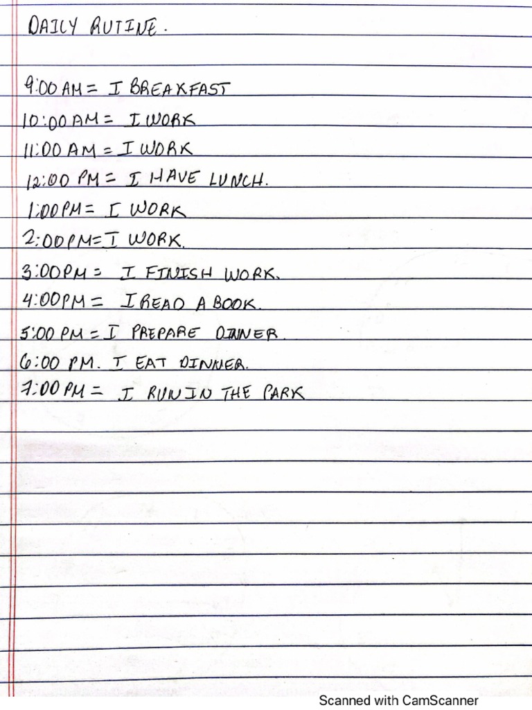 Daily Routine | PDF