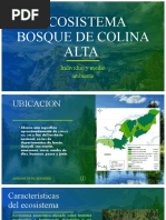 Importancia del Bosque de Colina Baja | PDF | Ciencias de la Tierra