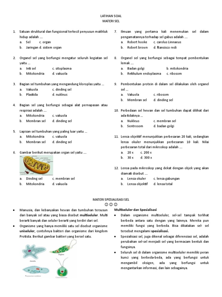 LATIHAN SOAL-SEL Dan PEMBAHASAN SEL BAKTERI | PDF | Kajian Bahasa Asing | Sains & Matematika