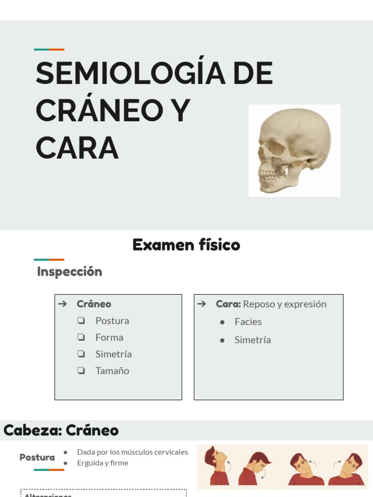 Semiología de Cráneo y Cara | PDF | Cara | Cabeza y cuello humanos