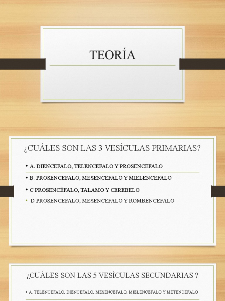 Banco Preguntas Teóricas. Respuesta | PDF | Sistema nervioso | Nervio