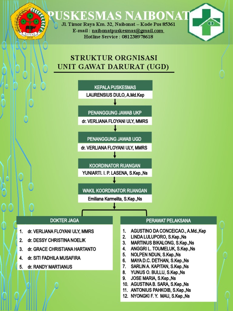 Stuktur Organisasi Ugd | PDF