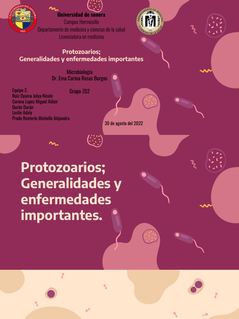 Exposición Protozoarios | PDF | Plasmodium | Malaria