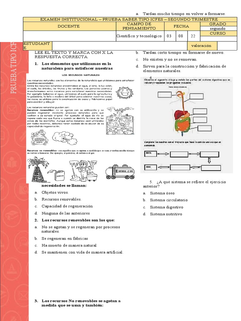 Prueba Saber ICFES Grado Segundo | PDF