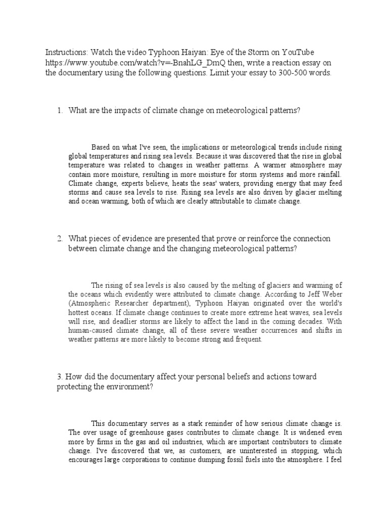Typhoon Haiyan (Eye of The Storm) - Essay Reflection | PDF