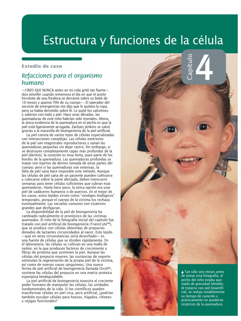 Audesirk Biologia - Capitulo 4-Celulas | PDF | Biología Celular) | Microscopio