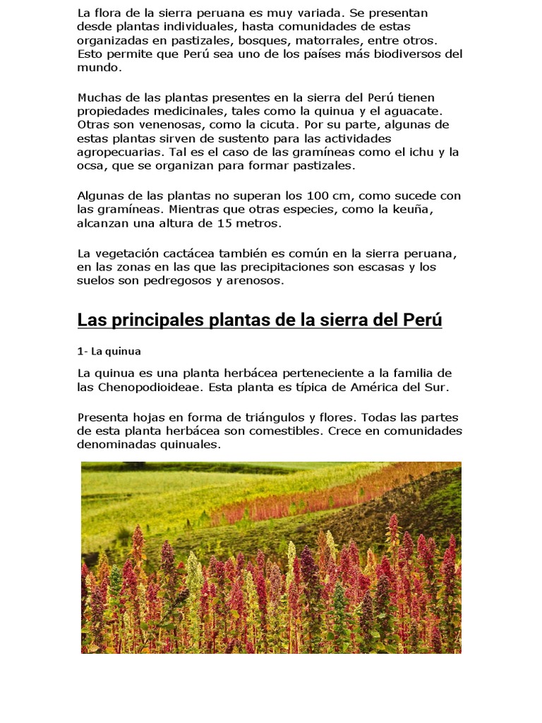 La Flora de La Sierra Peruana Es Muy Variada | PDF
