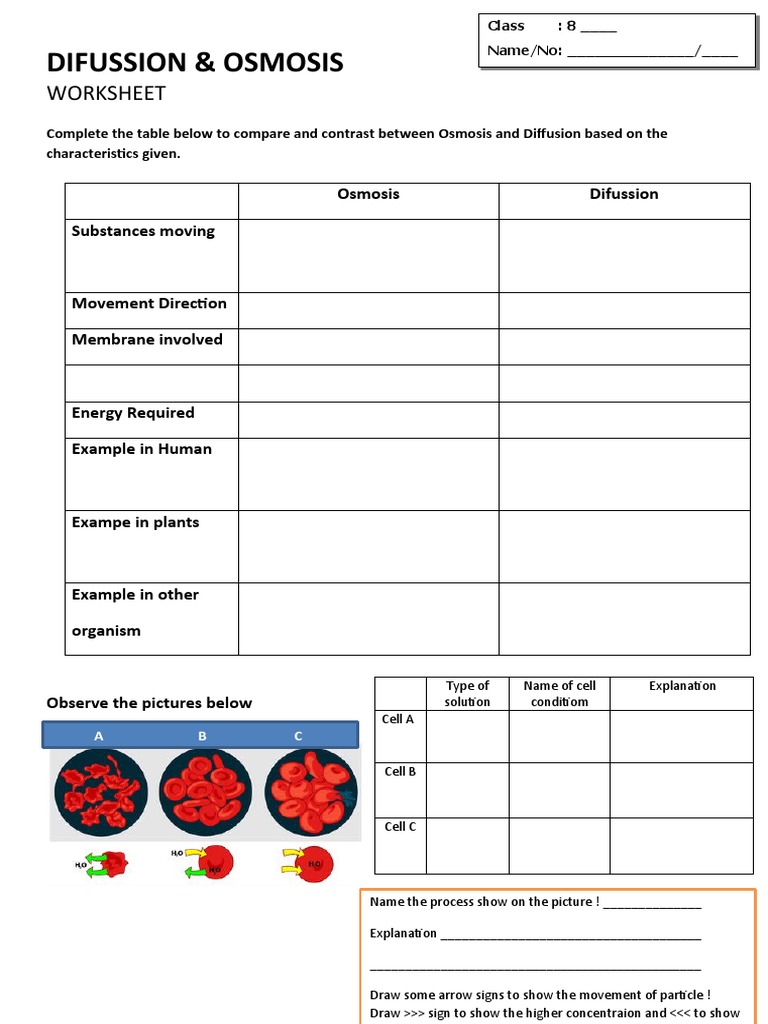 Diffusion and Osmosis GR 8 Worksheet | PDF