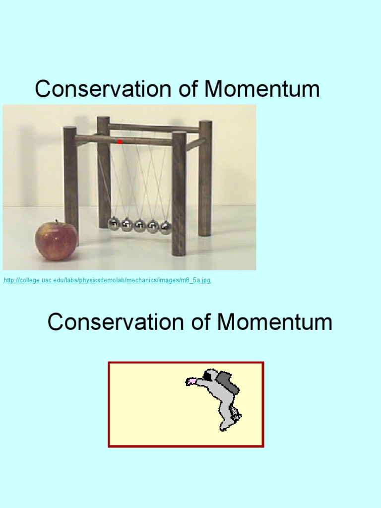 Conservation of Momentum1 015604 | PDF | Momentum | Collision