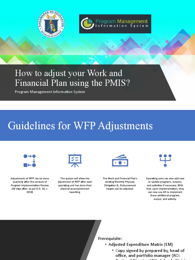 Plan Adjustment PMIS | PDF