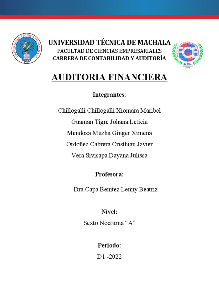Portafolio de Auditoria Financiera | PDF