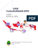 Modul Input Renstra Sipd-Ri | PDF