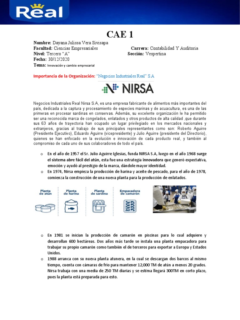 Nirsa S.A | PDF | Responsabilidad social corporativa | Auditoría
