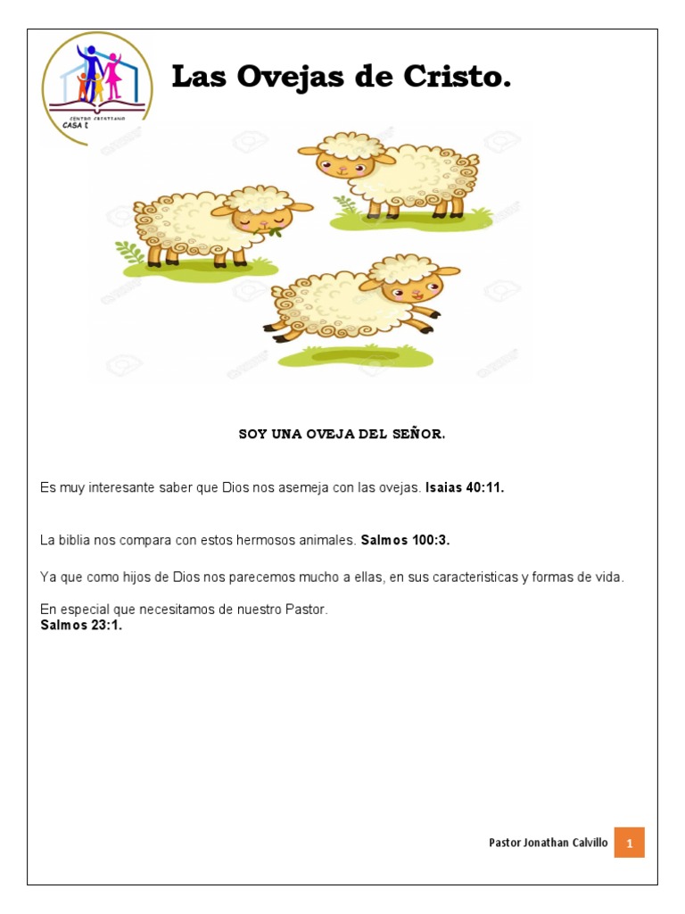 Conociendo Las Ovejas | PDF | Oveja