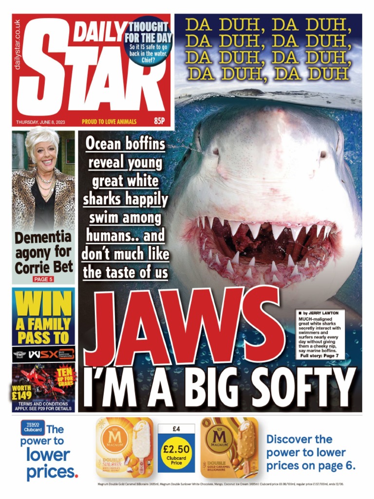 Daily Star - 0806 | PDF