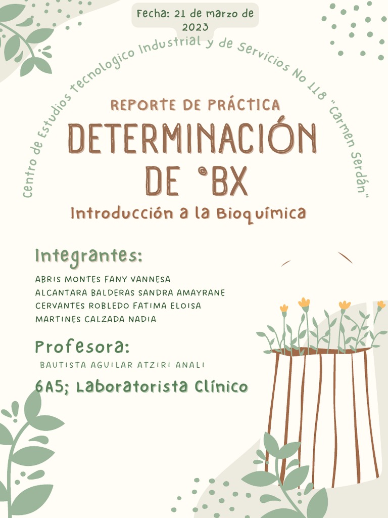 Medición de Grados Brix en Frutas | PDF | Alimentos | Nutrición
