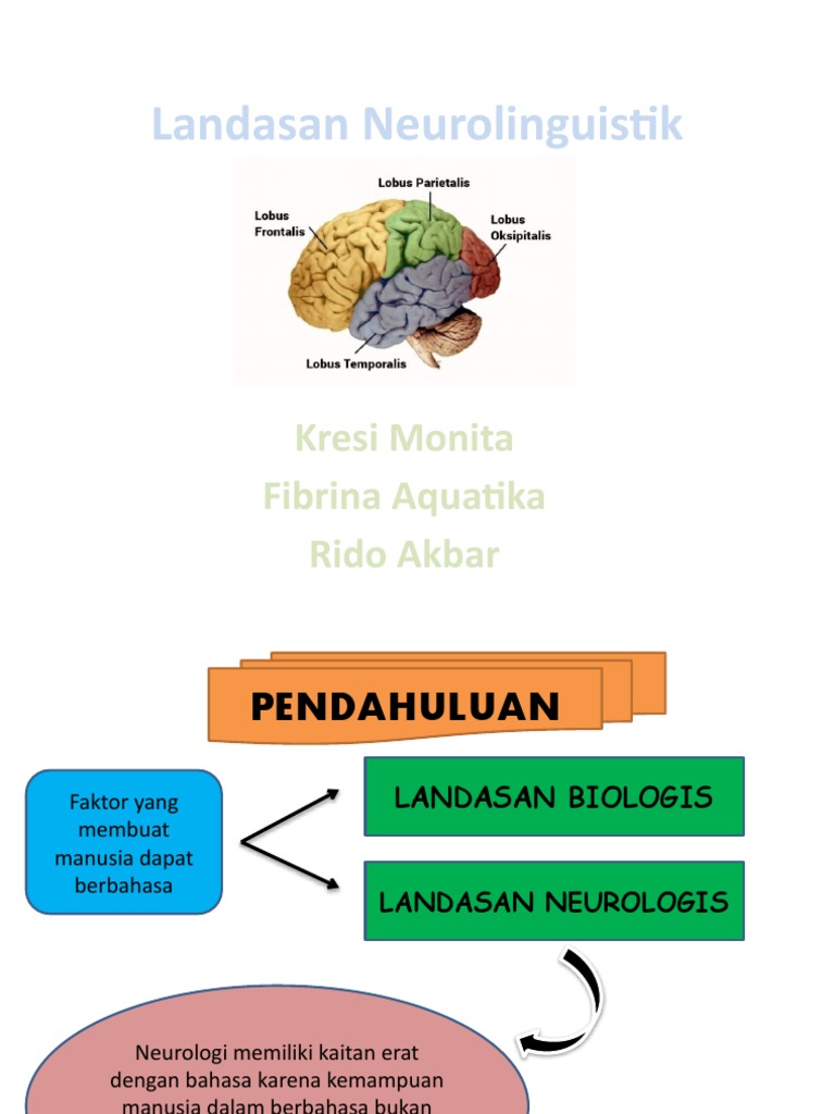 Neurolinguistik | PDF