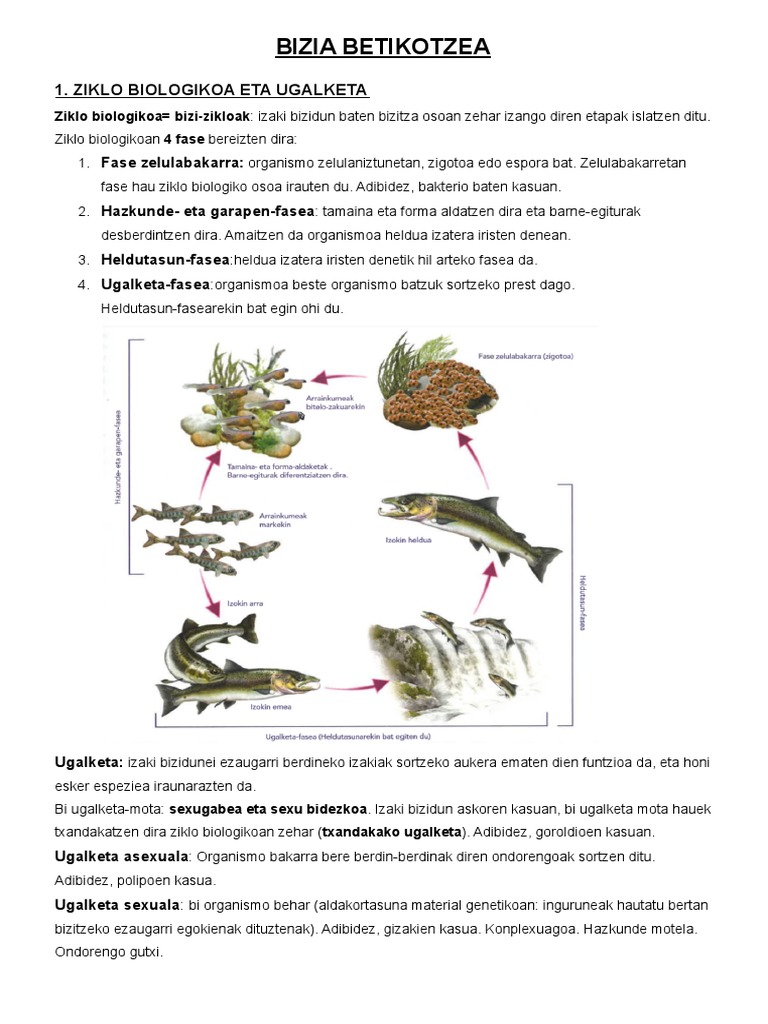 Ugalketa (Bizia Betikotzea) - Apunteak | PDF