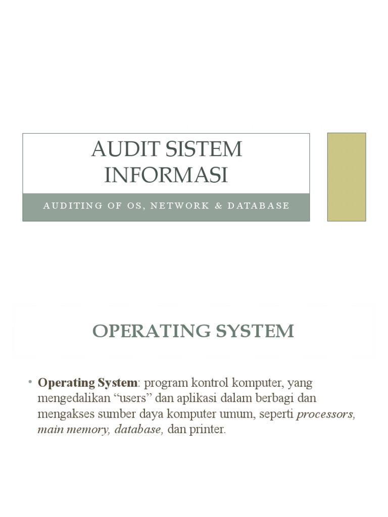 Audit SI 4 | PDF