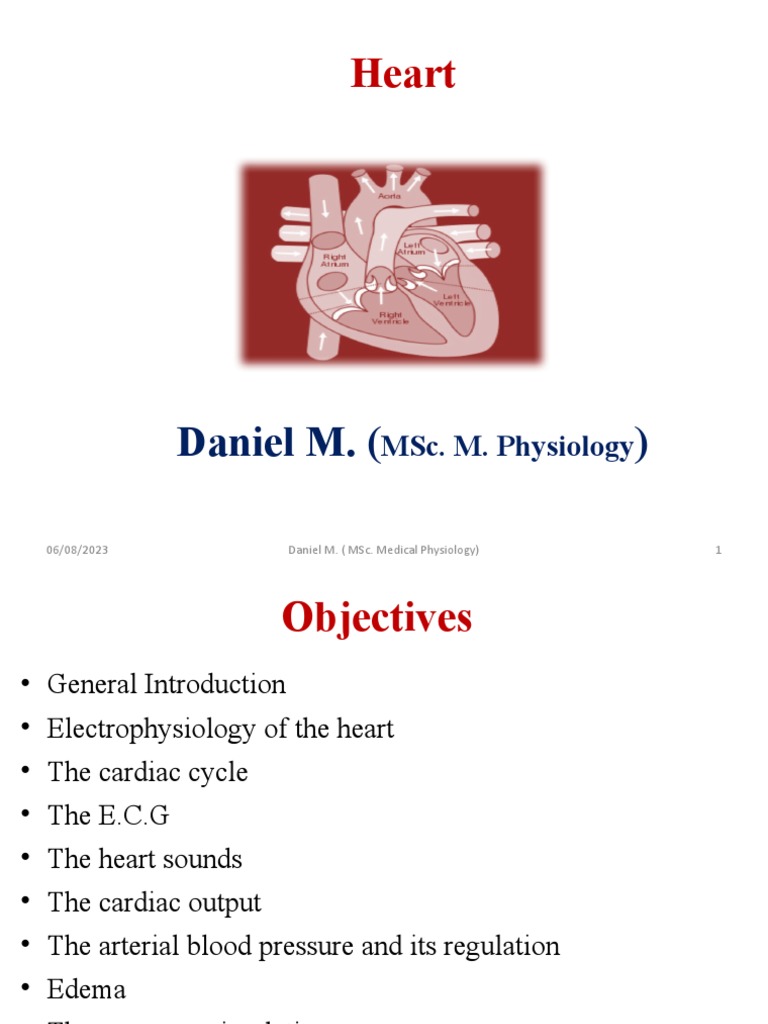 CVS Physio | PDF | Heart | Coronary Circulation