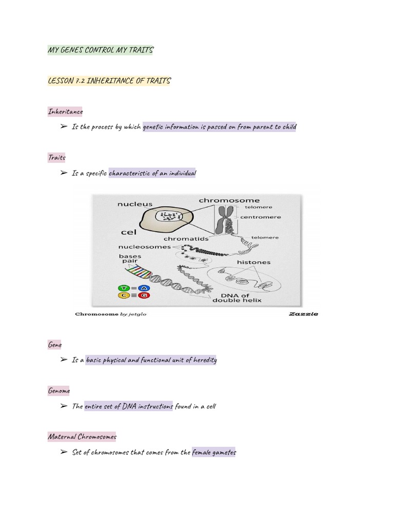 Understanding Genetic Inheritance Basics | PDF | Genotype | Allele