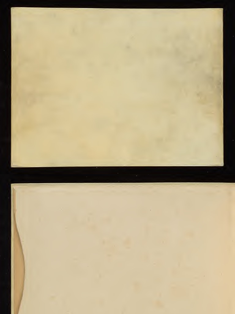 Zoucher Nuttall - Codex Nuttall | PDF | Codex | House Of Medici