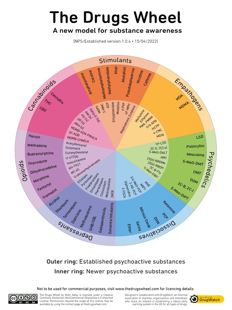 The Drugs Wheel: Substance Awareness Guide | PDF | Functional Group ...