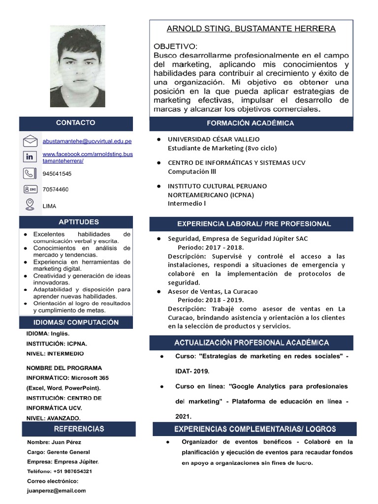 Formato CV de La Ucv | PDF