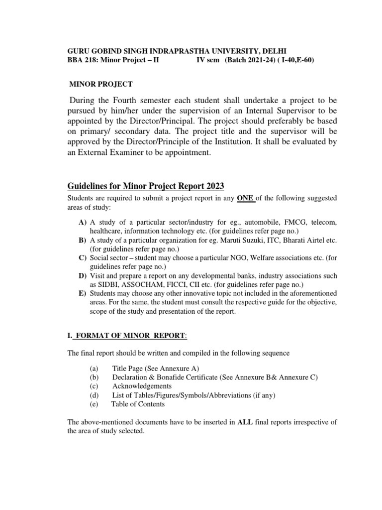 BBA 218 IV Sem Minor Project II Guidelines | PDF | Non Governmental ...