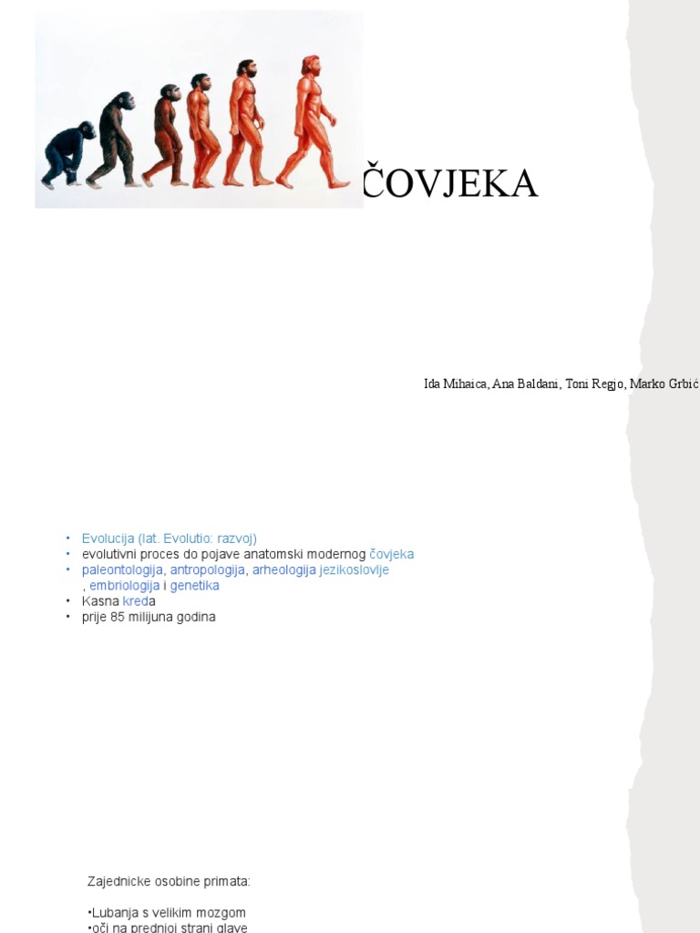 Evolucija Covjeka | PDF