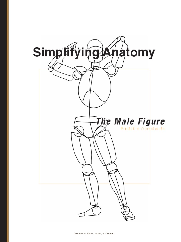 Male Simplifying Anatomy Printable Worksheet PDF | PDF | Hand | Figure ...