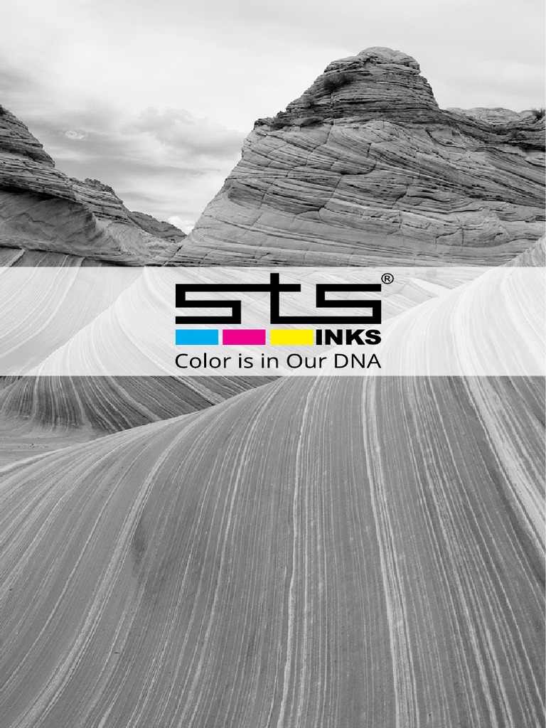 STS 2017 Catálogo | PDF