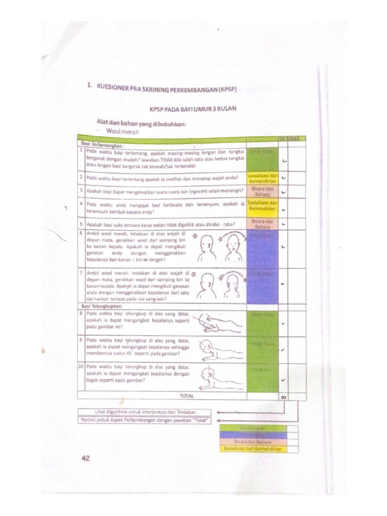 Kuesioner Pra Skrining Perkembangan (KPSP) | PDF