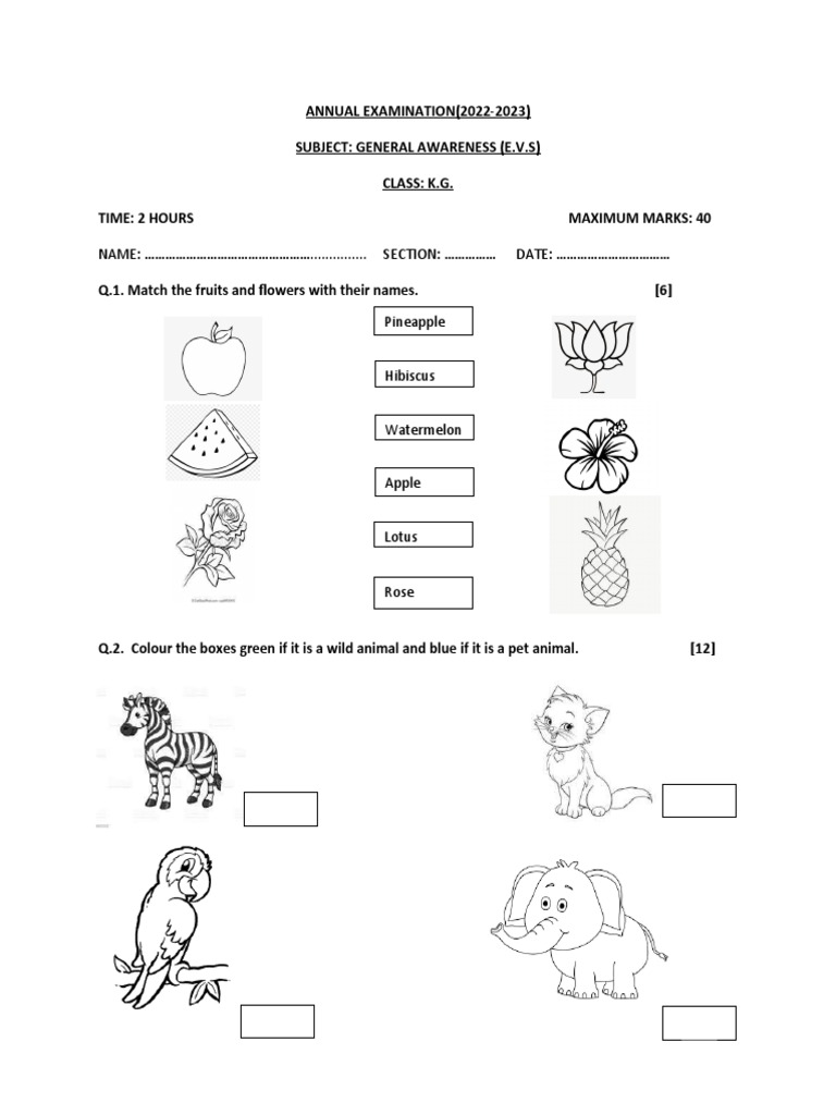 KG General Awareness Exam 2022-23 | PDF | Home & Garden